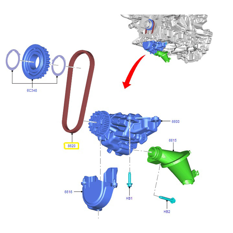 Genuine Oil Pump Belt to suit 2.0L VO / VN Custom / Ecoblue Ford Trans ...